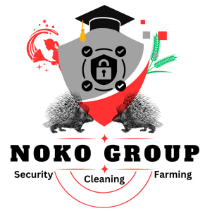Noko Group